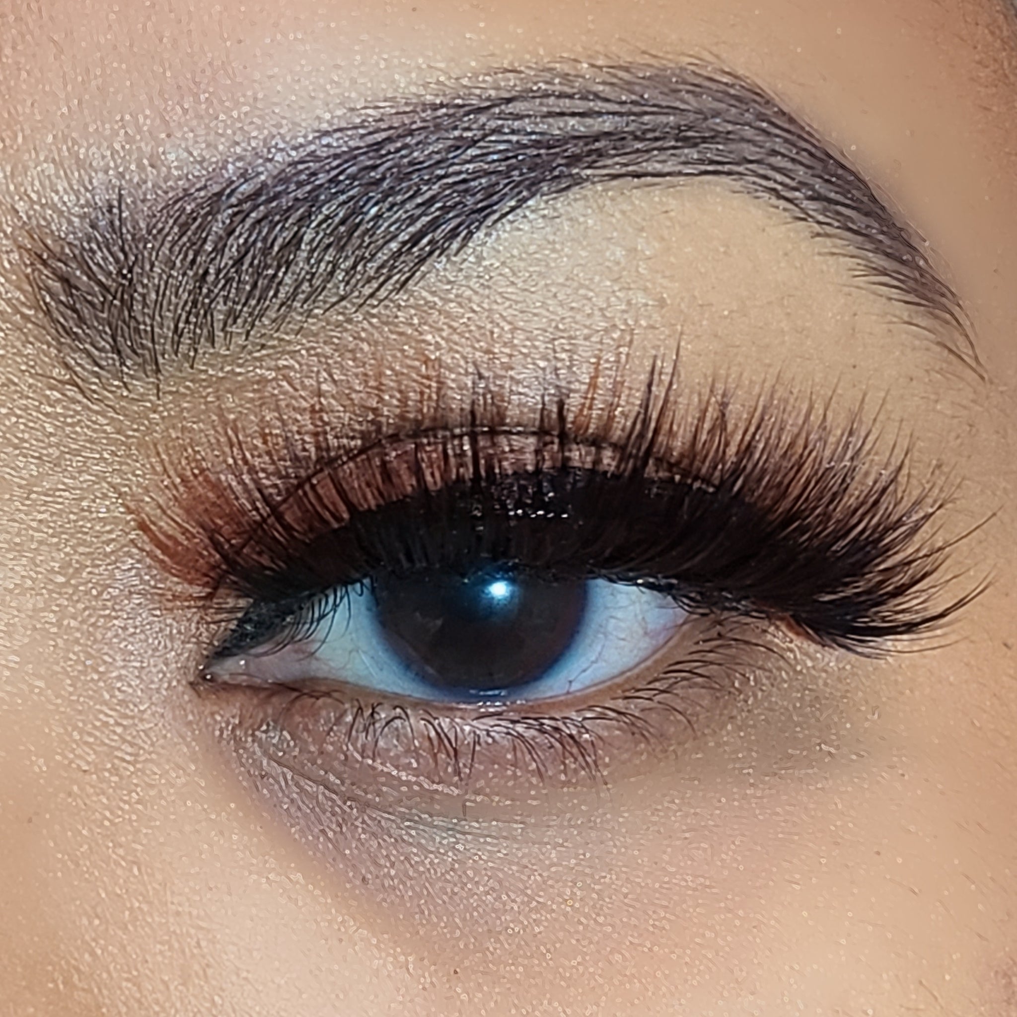 ALPHA LASHES – PiLash Cosmetics House