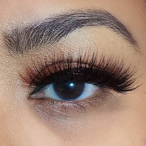 ALPHA LASHES – PiLash Cosmetics House