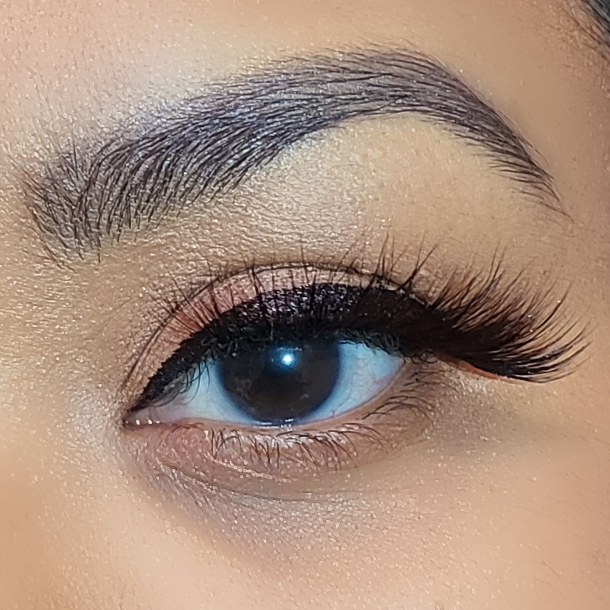 ROYAL LASHES – PiLash Cosmetics House